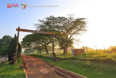 Ladang 16 Merupakan Ladang Universiti Putra Malaysia Facebook