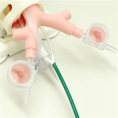 Difficult Airway Management Simulator Demonstration 3 Dmed