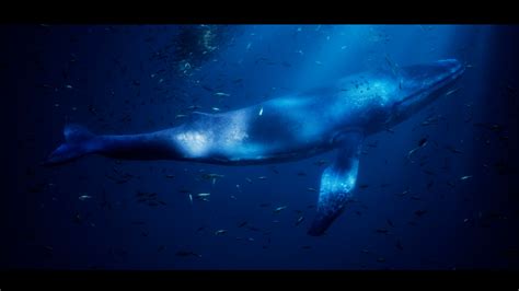 Underwater Blueprintv3 Lynko Mentor