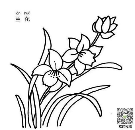 兰花简笔画 百度图片搜索 花瓣网
