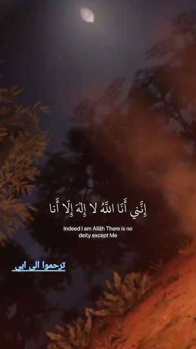 الله يرزقنا الصبر و يثبتنا على دين الإسلام 😊 Youtube