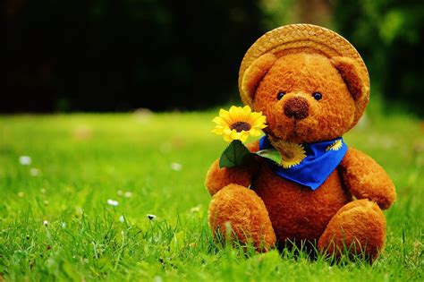 Teddy Bear Wallpaper And Screensavers 65 Images