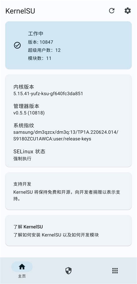 Replace In Customizesh Is Not Replaced · Issue 466 · Tiannkernelsu · Github