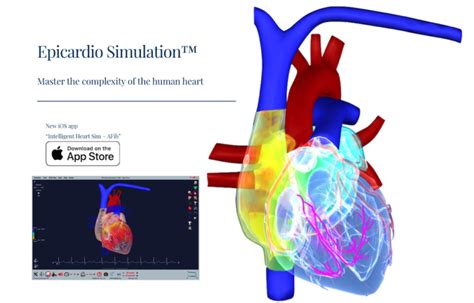 Cardiac Simulator Healthcare Simulation HealthySimulation