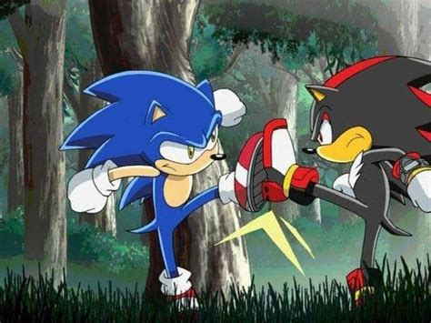 Two Sonics Fighting In The Woods With Each Other