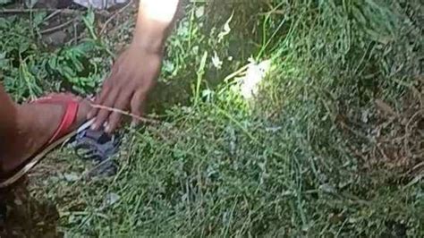 Lasing Na Lalaki Huli Sa Pagpapaputok Ng Baril Bombo Radyo Tuguegarao