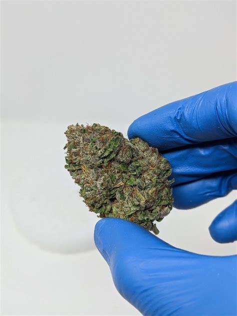 You Need To Try This Strain Tom Ford Pink Kush Top Shelf Bc