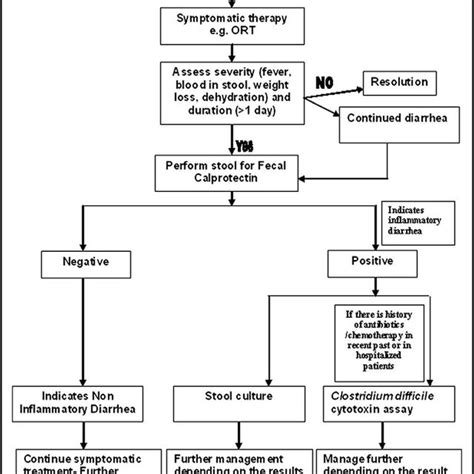 Algorithm Depicting The Role Of Fecal Calprotectin In Managing Acute