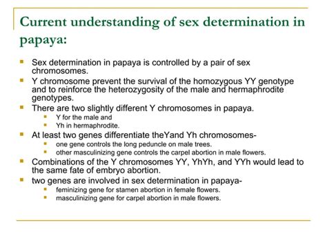 Sex Determination In Papaya Ppt