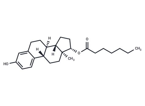 Estradiol Enanthate Targetmol