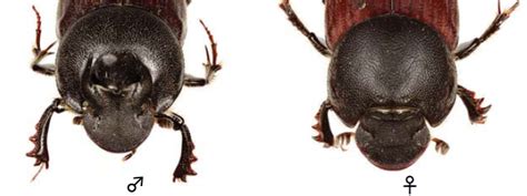 국립생물자원관 한반도의 생물다양성