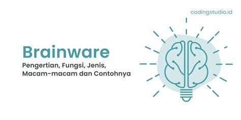 Software Engineering Adalah Pengertian Dan Contohnya