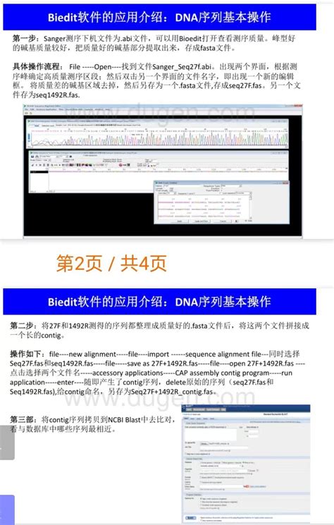 针对一代双向测序，将所有测序结果合并、拼接 知乎