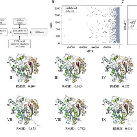 The Flowchart Showing The Process For Detecting Novel T2pks A The Download Scientific