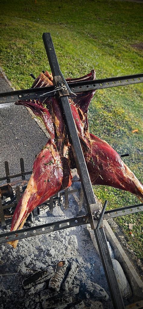 Whole Venison Carcass Butchers Cut For Field To Fork Cooking Game On