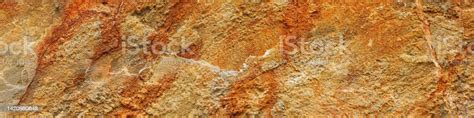 Universal Banner For Websites Social Networks And Typography Natural