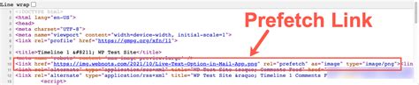 How To Use Prefetch And Dns Prefetch In Wordpress Webnots