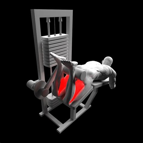 Lying Leg Curl 3d Model Turbosquid 2228530
