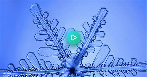 Snowflake Symmetry  On Imgur