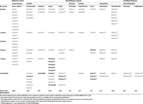 Classification Of Sox Genes From This Study Download Table