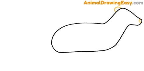 How To Draw An Arctic Fox