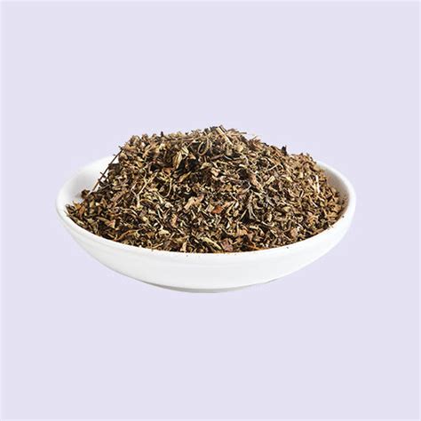 Catnip And Cat Grass Faywell Pet