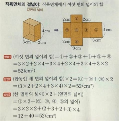 6학년 1학기 수학 지식in
