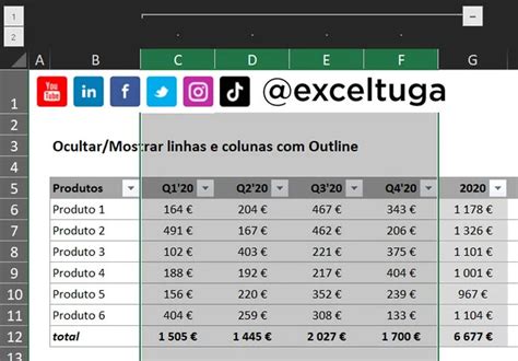 Como criar botão para esconder linhas e colunas no Excel vídeo