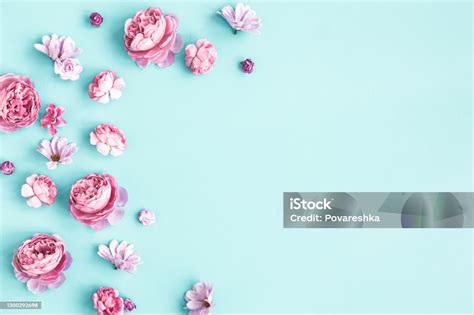 꽃 구성 파스텔 블루 배경에 분홍색 꽃 플랫 레이 상단 보기 3월에 대한 스톡 사진 및 기타 이미지 3월 8 0명 Istock