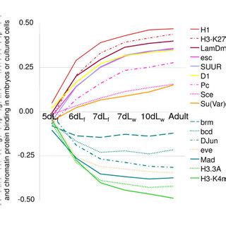Inversed Correlations Between Gene Regulation In Testis Development Download Scientific
