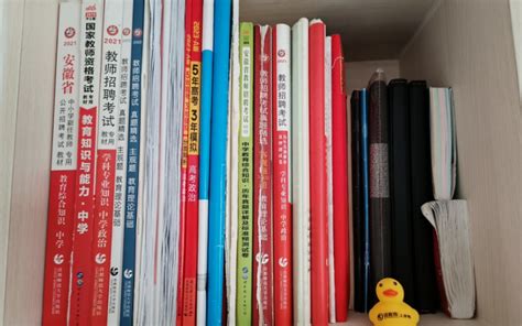 非师范生教招一次上岸经验分享 哔哩哔哩 bilibili