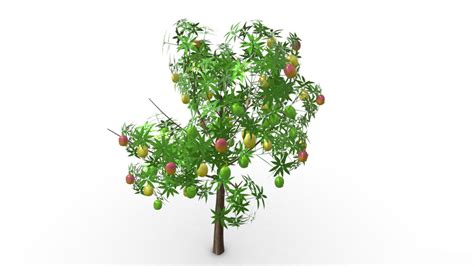 Mango Tree Model Turbosquid 2240578