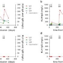A Detailed Characterization Of KLH Specific Antibody Responses In