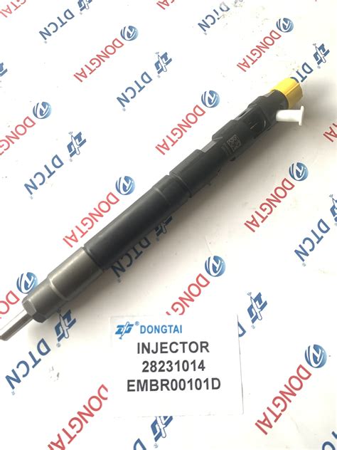 China DELPHI Common Rail Injector 28231014 For Great Wall Hover H6 ...