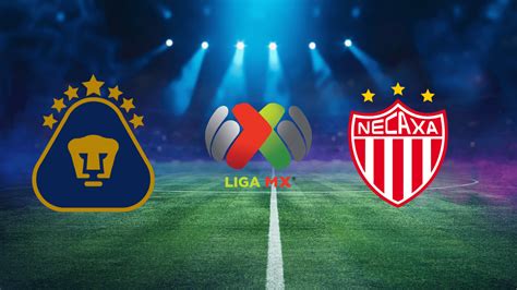 Consejos De Apuestas Pumas Unam Vs Club Necaxa Liga Mx 12012025