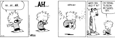 Blog Do XANDRO Tiras N8506 Calvin And Hobbes Bill Watterson