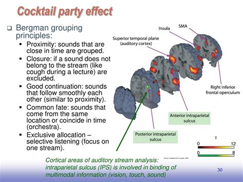 Ppt Hearing And Speech Powerpoint Presentation Free Download Id