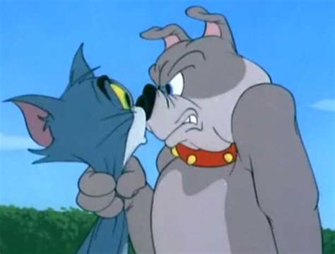 你有哪些珍藏的猫和老鼠表情图？ 知乎