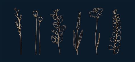 Set Of Golden Hand Drawn Tree Leaf Design Elements Vector Premium Vector