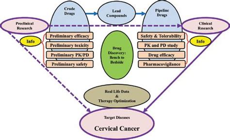 宫颈癌的当前治疗方法：更新。anti Cancer Agents In Medicinal Chemistry X Mol
