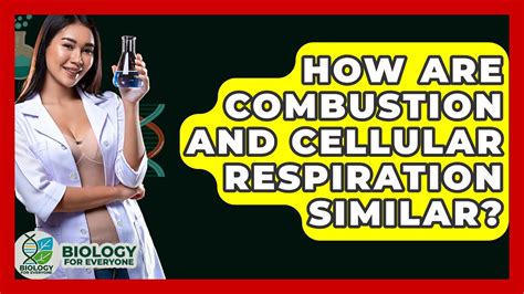 Unveiling The Hidden Link Combustion Vs Respiration Vs Decay