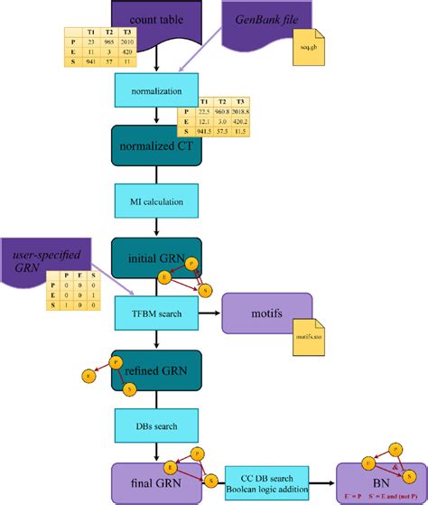 augusta pipeline input files a count table and a genbank file are