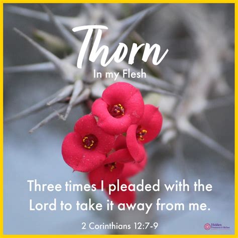 Thorn In The Flesh Bible Verse Scripture And How To Deal With It