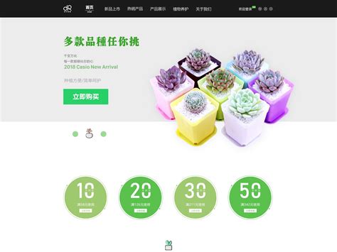 多肉植物网站 姚呀呀 站酷ZCOOL