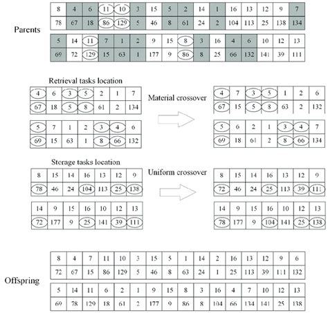 Schematic Diagram Of The Intersection Of Storage And Retrieval Tasks