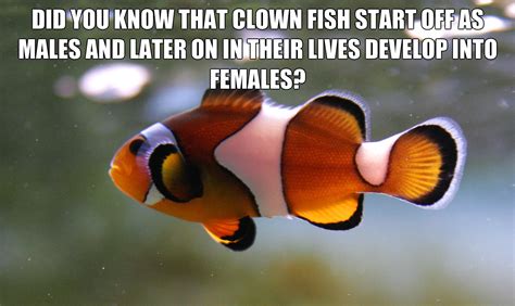 21 Random Facts You Probably Didnt Know Ebaums World