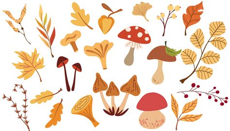 Autumn Leaves Mushrooms And Berries Set Of Different Mushrooms Fly Agaric White Toadstools