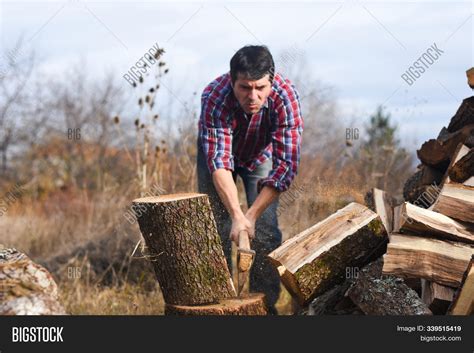 Lumberjack Chopping Tree