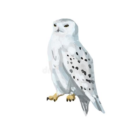 Snowy Polar Owl Portrait Full Length Body Standing Big Round Yellow