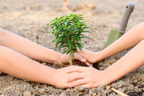 How To Make Drought Friendly And Beautiful Landscape Design